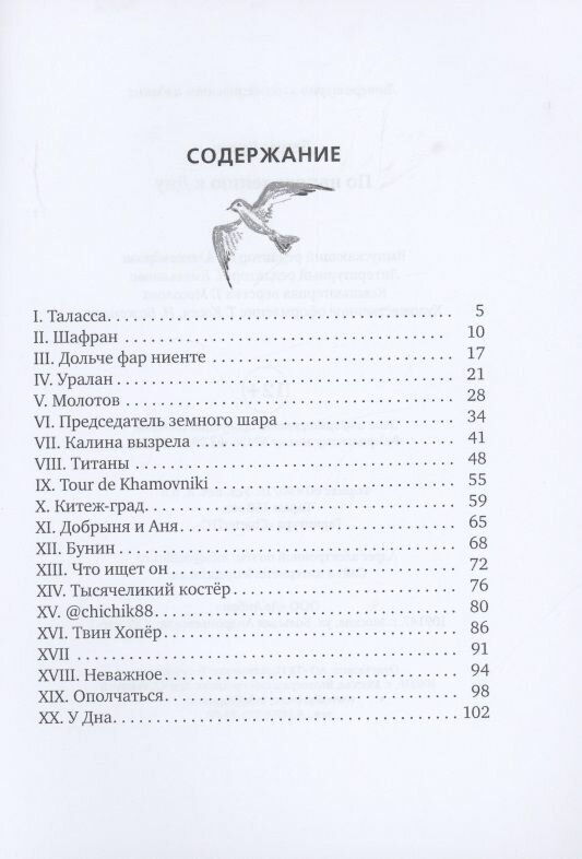 По направлению к дну — фото 1