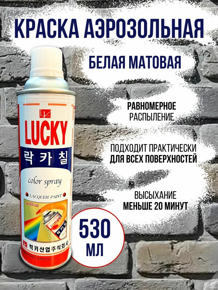 Краска аэрозольная матовая универсальная Lucky