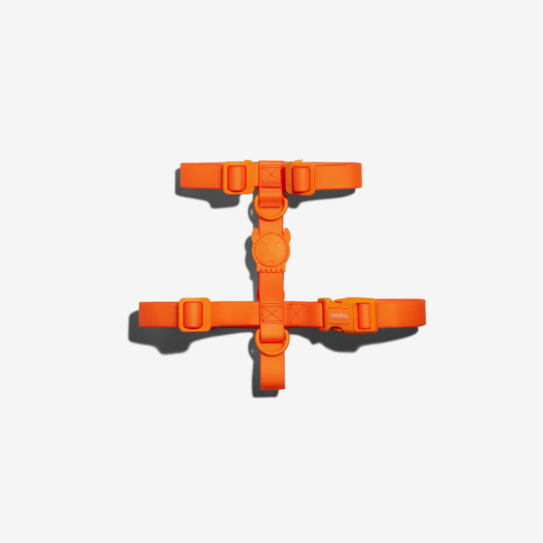 Шлейка NEOPRO TANGERINE Zee.Dog (оранжевый / L)
