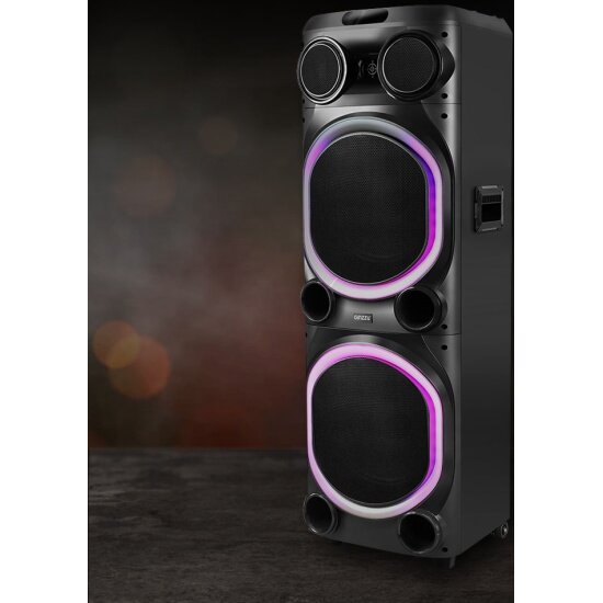Акустическая система Ginzzu GM-204