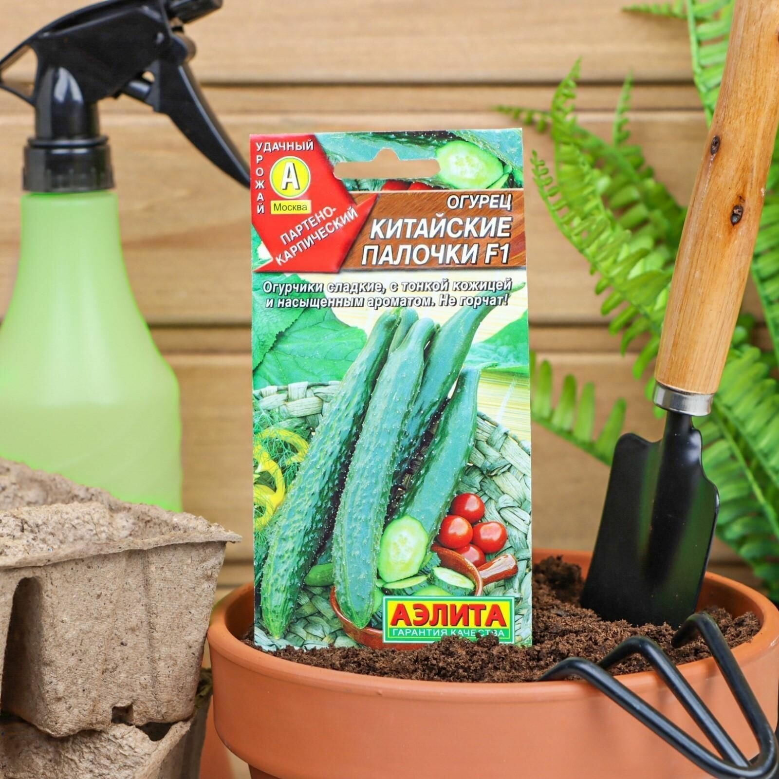 Семена Огурец "Китайские палочки" F1 партенокарпический, 10 шт