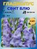 Гладиолус луковицы 5 шт.