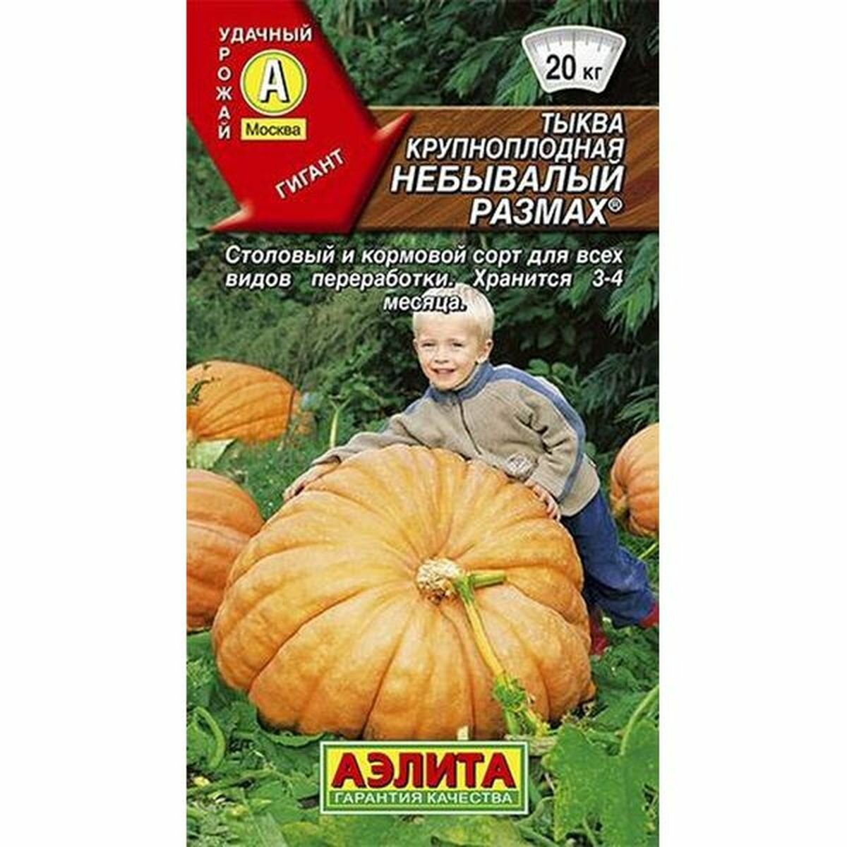 Семена Тыква Небывалый размах, Аэлита, 1 пачка - 2г семян