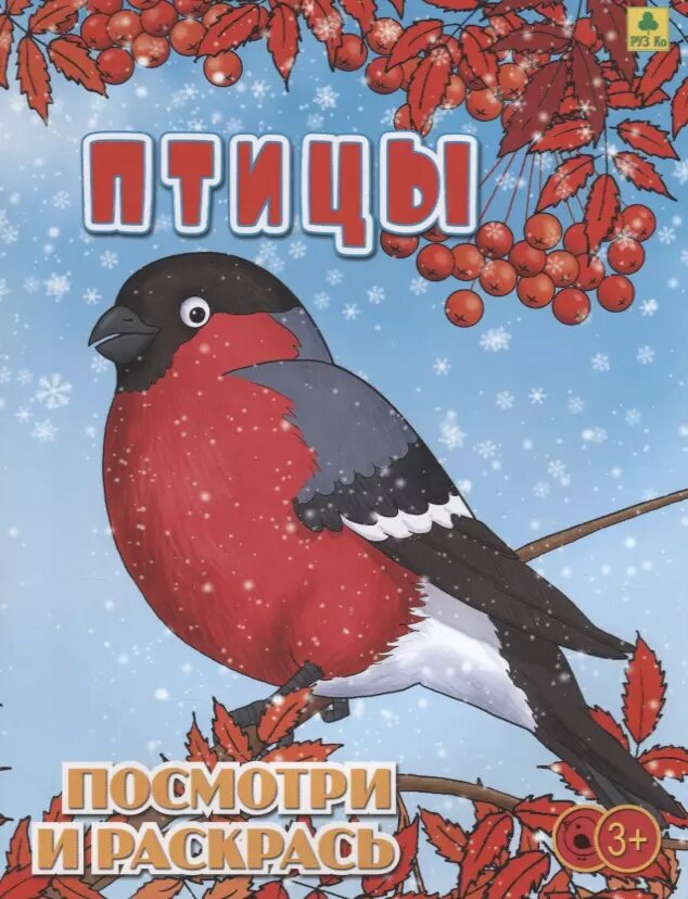 Птицы. Посмотри и раскрась