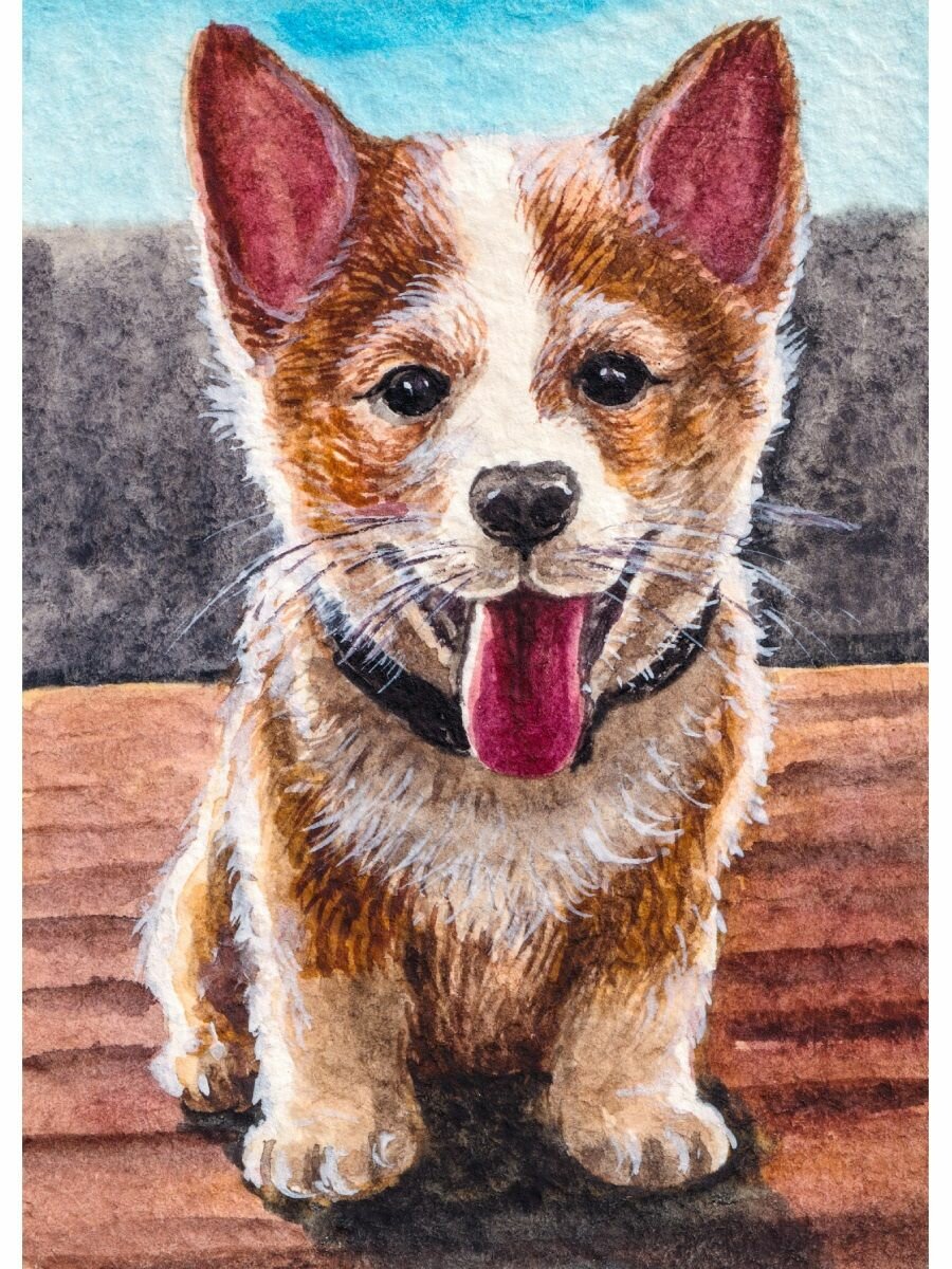 Алмаз мозаика (клас.) 30х40 см, с подр, с полн. заполн. (24 цв.) Улыбчивый корги (Арт. НД-8577)