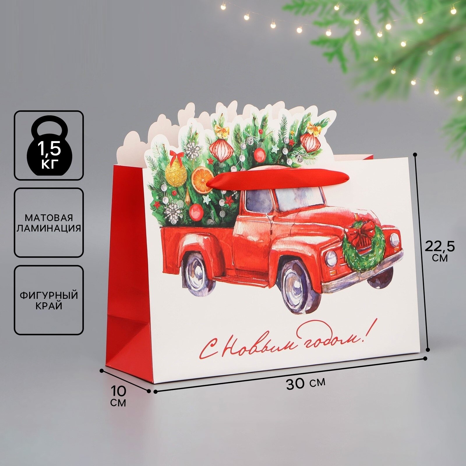 Подарочный пакет новогодний «Спешу к тебе», 30 х 22,5 х 10 см, для упаковки подарка на Новый Год