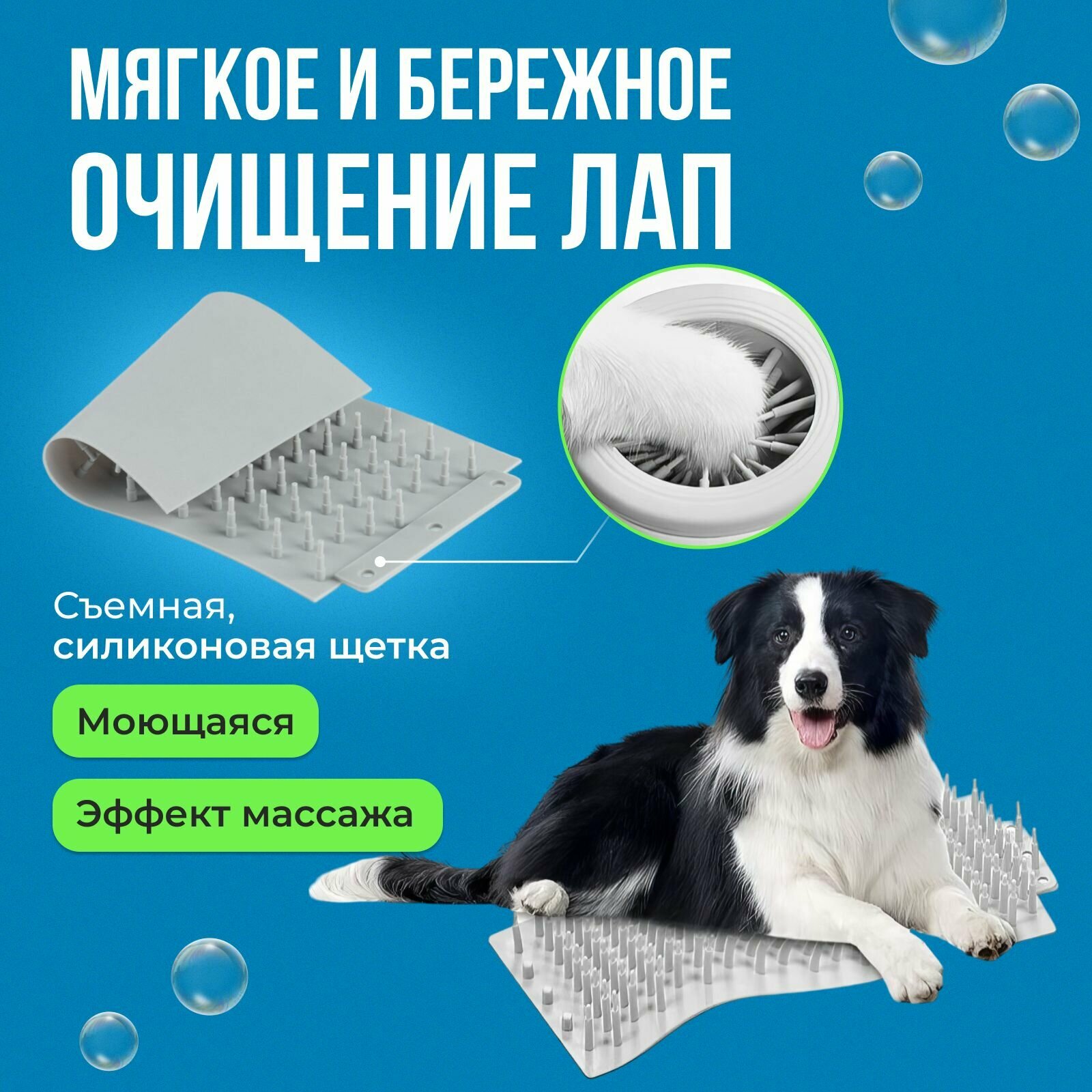 Лапомойка — фото 1