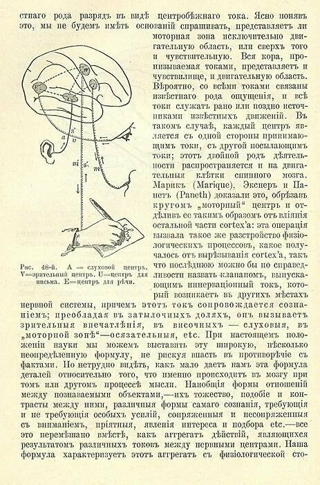 Психология. 1905 г. Уильям Джеймс, твердый переплет, 448 стр. — фото 1