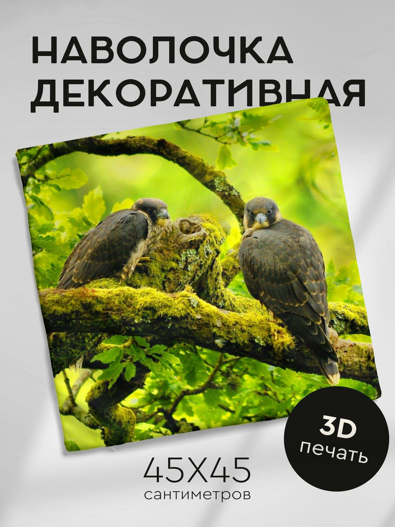 Наволочка декоративная, 45х45см / соколы / птицы / ветки