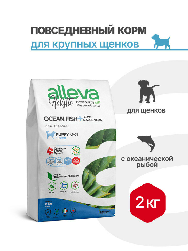 Alleva Holistic Puppy/Junior Ocean Fish Maxi 2кг сухой корм для щенков и юниоров с океанической рыбой, коноплей и алое вера 2 кг