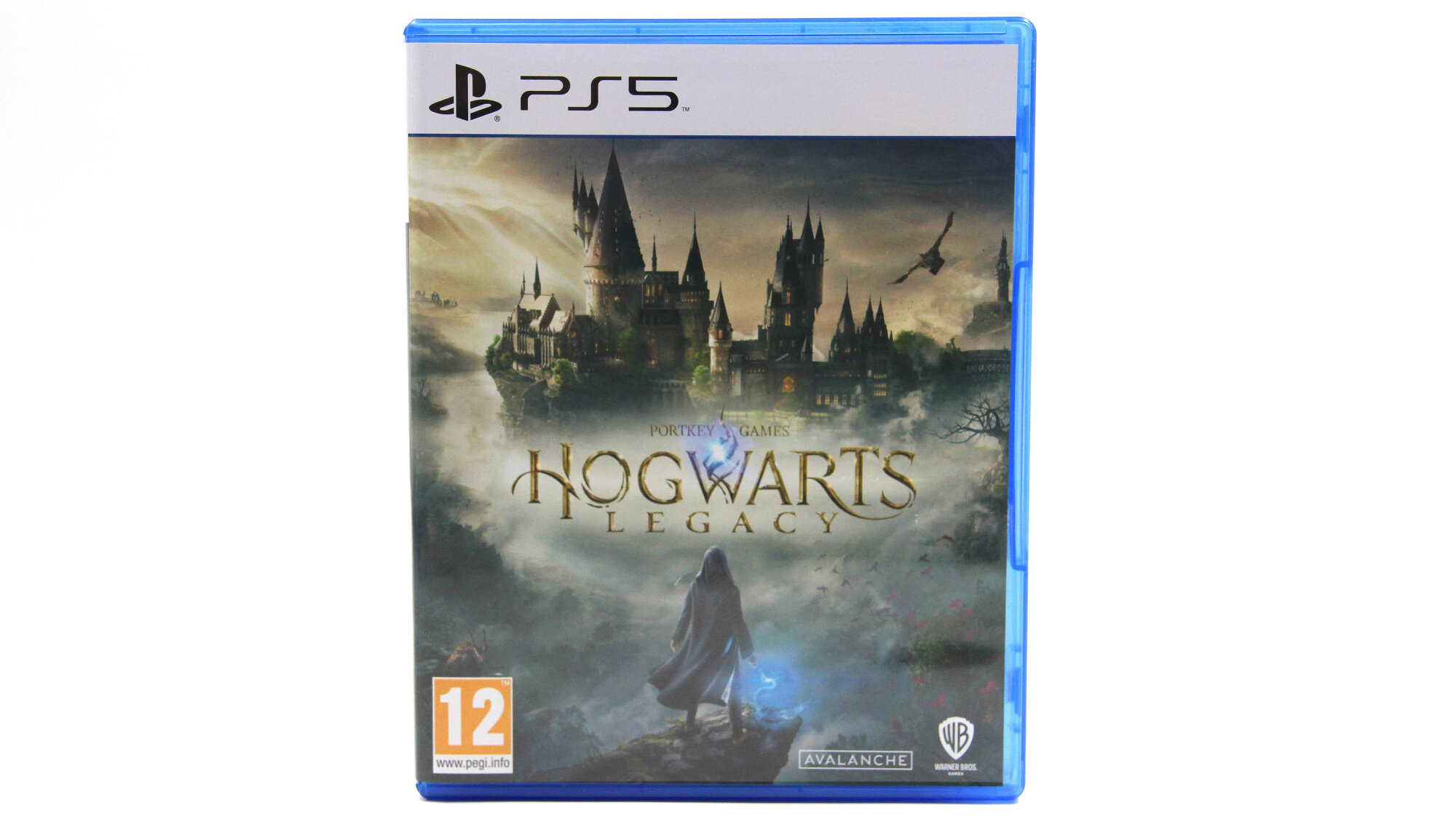 Hogwarts Legacy (PS5, RU)