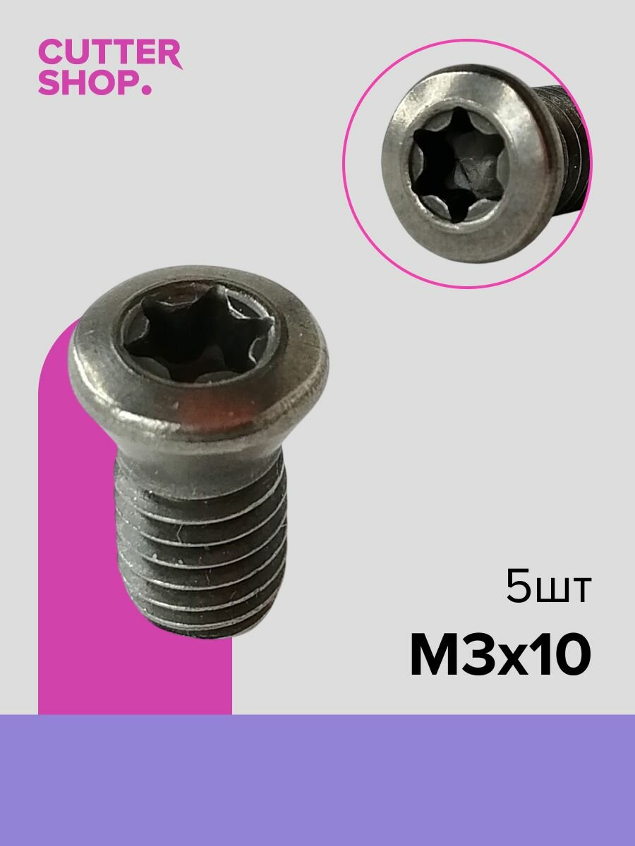Винт M3x10 с внутренним шестигранником "звездочка" TORX, 5 шт.