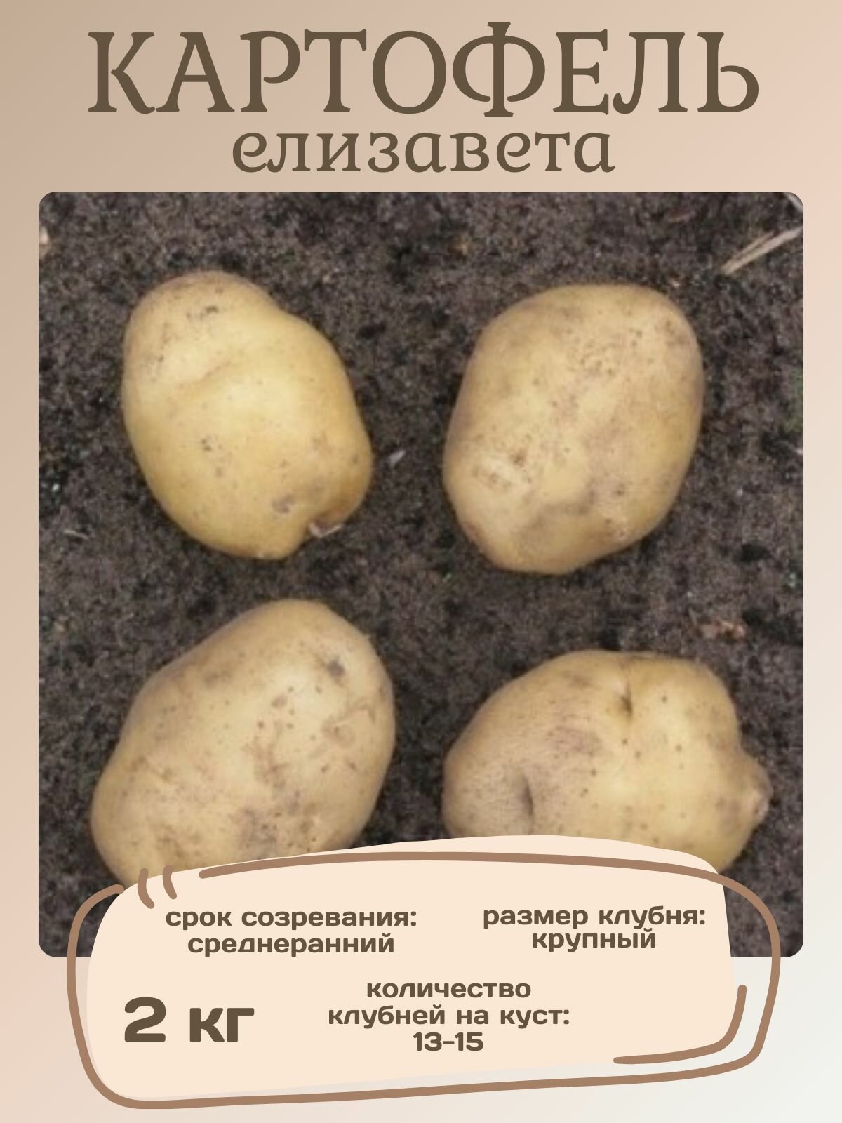 Картофель семенной 2 кг, на посадку