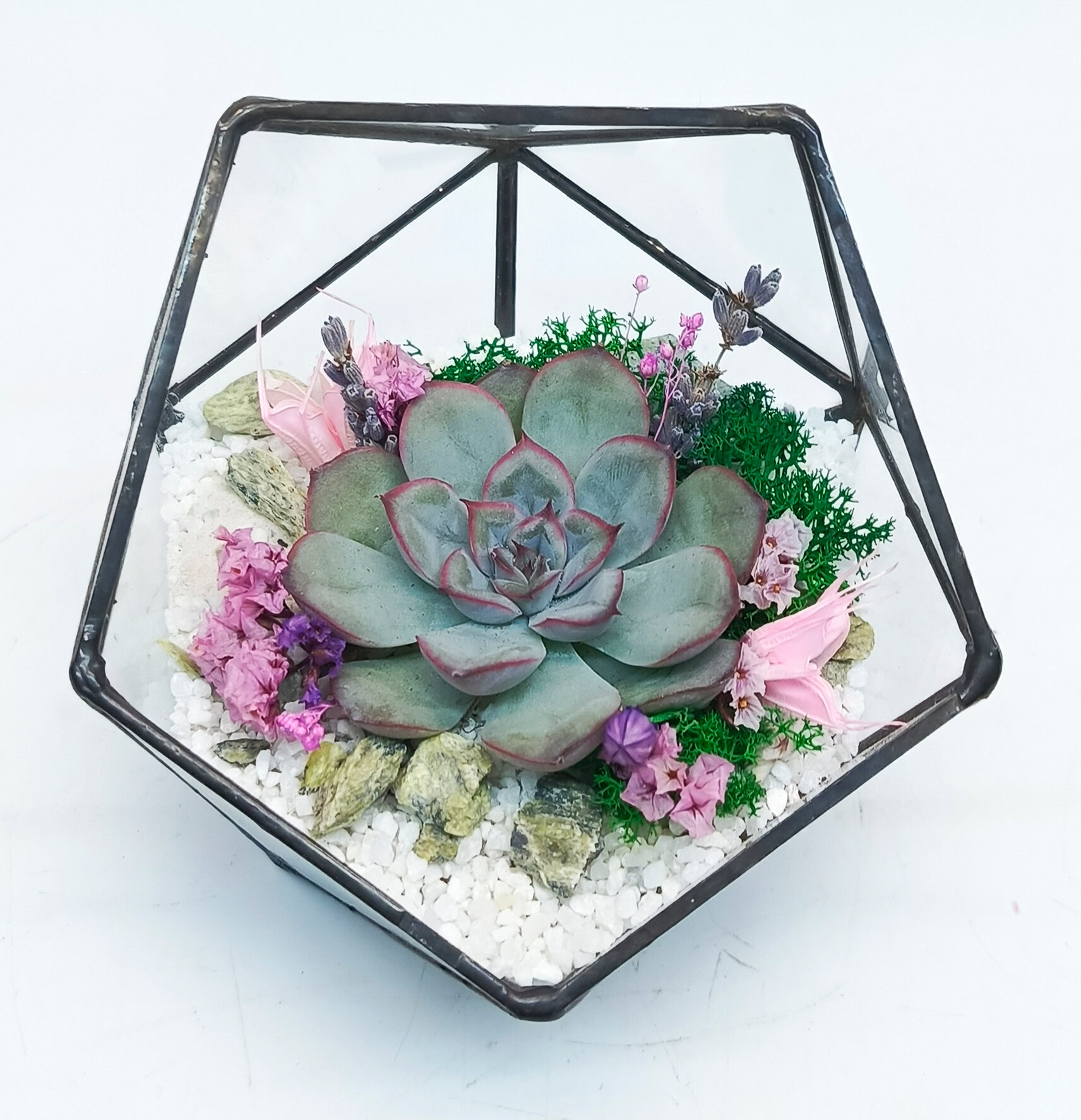 Флорариум с суккулентами "Нежный" Икосаэдр 11см (Ø13см)
