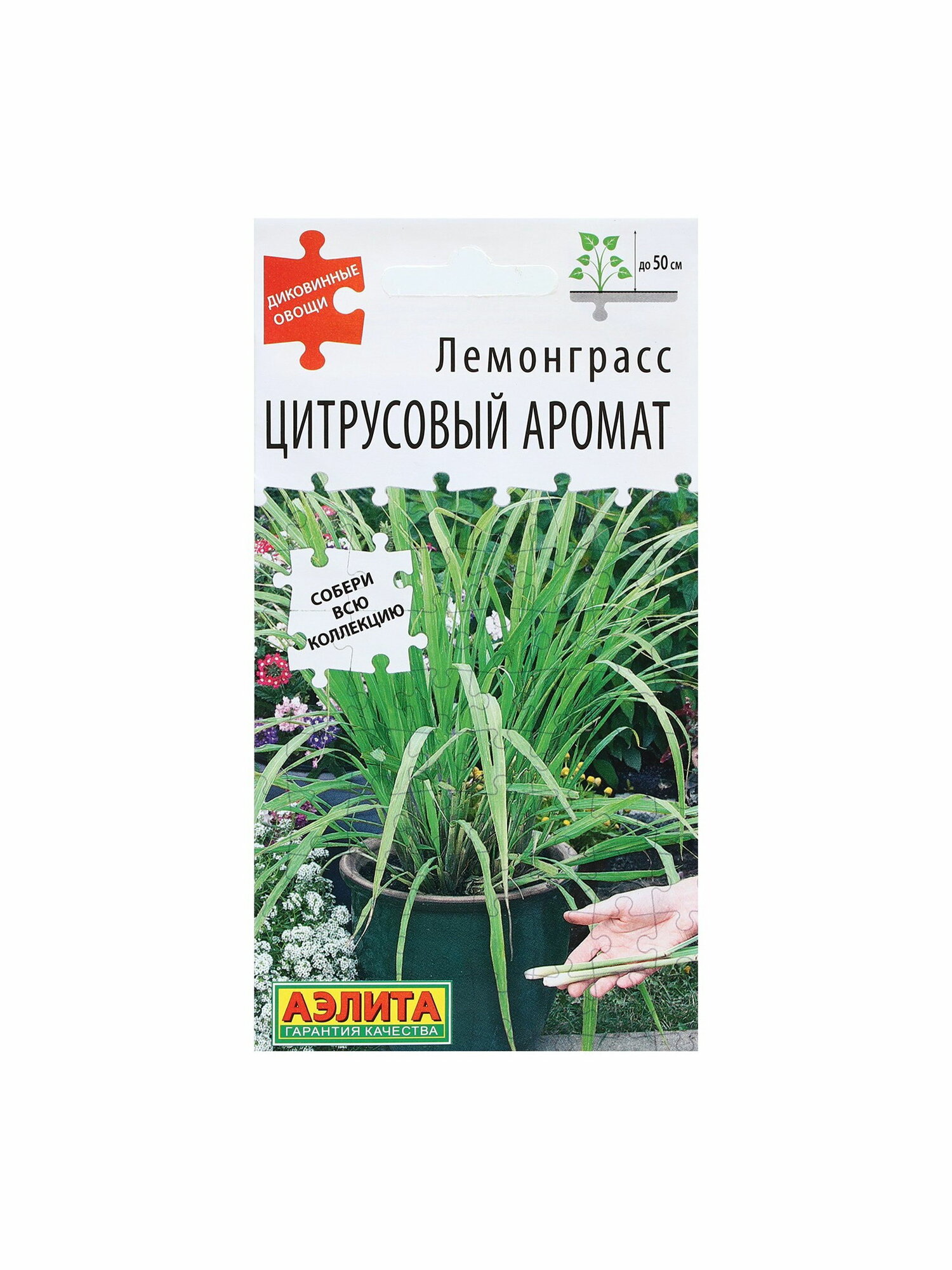 Набор семян Лемонграсс "Цитрусовый аромат", 5 шт, размер упаковки: 8 x 0.5 x 15 см.