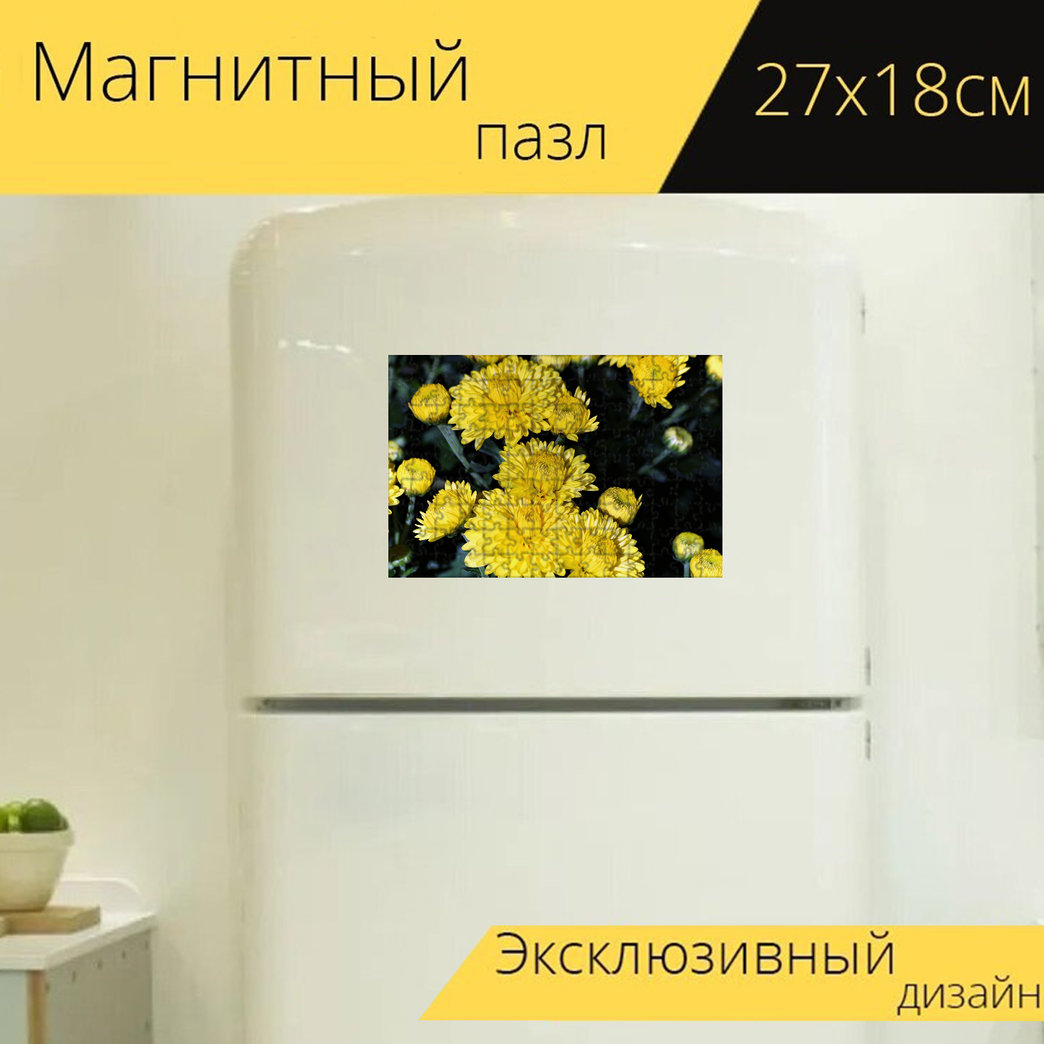 Магнитный пазл "Желтые хризантемы Крупный план 2 Крупным планом яркие желтые цветы хризантемы и почки на темном фоне. природа растения флора цветы." на холодильник 27 x 18 см.