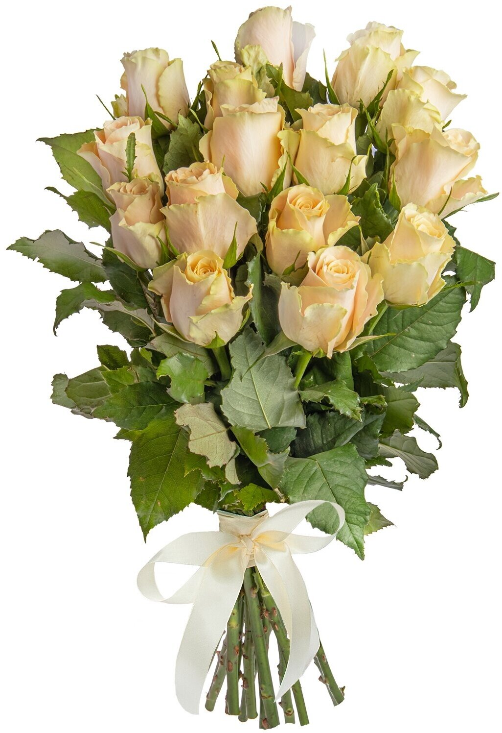 Букет Роза "Шарман" 15 шт Высота 50 см Премиум от "Простоцветы"