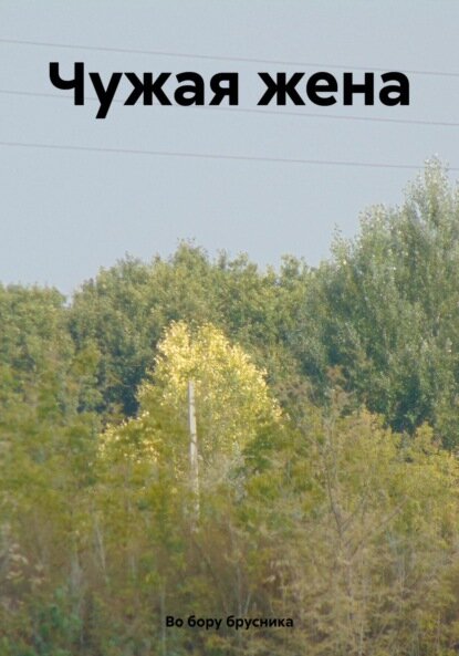 Чужая жена [Цифровая книга]