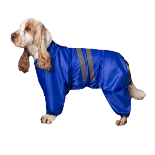 Дождевик-комбинезон для английского кокер-спаниеля суки, повышенной прочности, цвет василек, со светоотражающими полосами