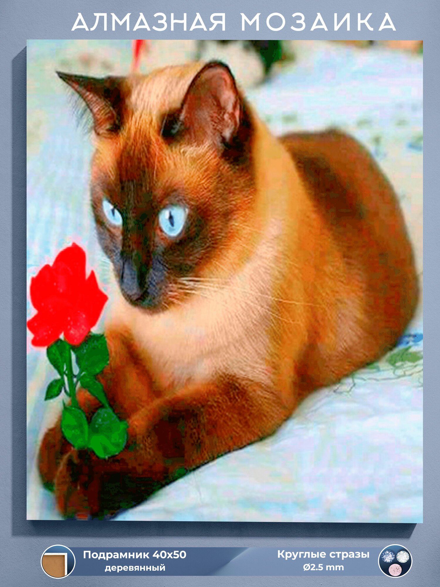 Алмазная мозаика 40х50 Сиамская кошка (картина стразами с декоративной рамкой)
