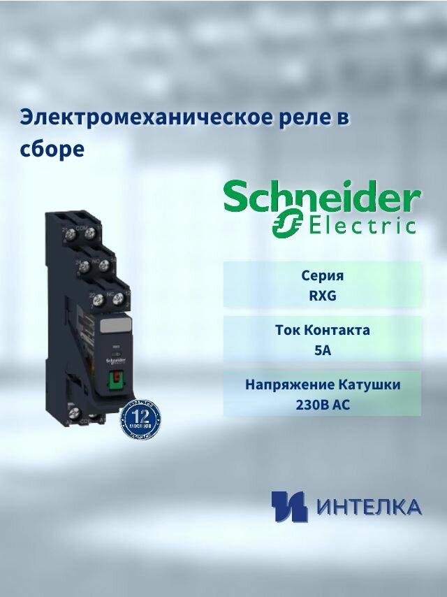 Реле Schneider Electric RXG21P7PV, 5A, с варистом, 2CO, 230V