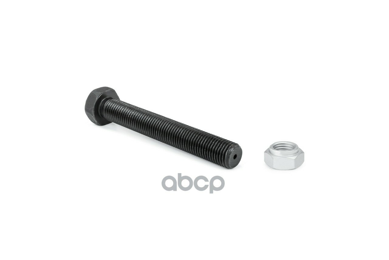 Болт SAF AR/M/O/U M30 x 3,5 L205mm с гайкой TOPCOVER арт. T1365-8003