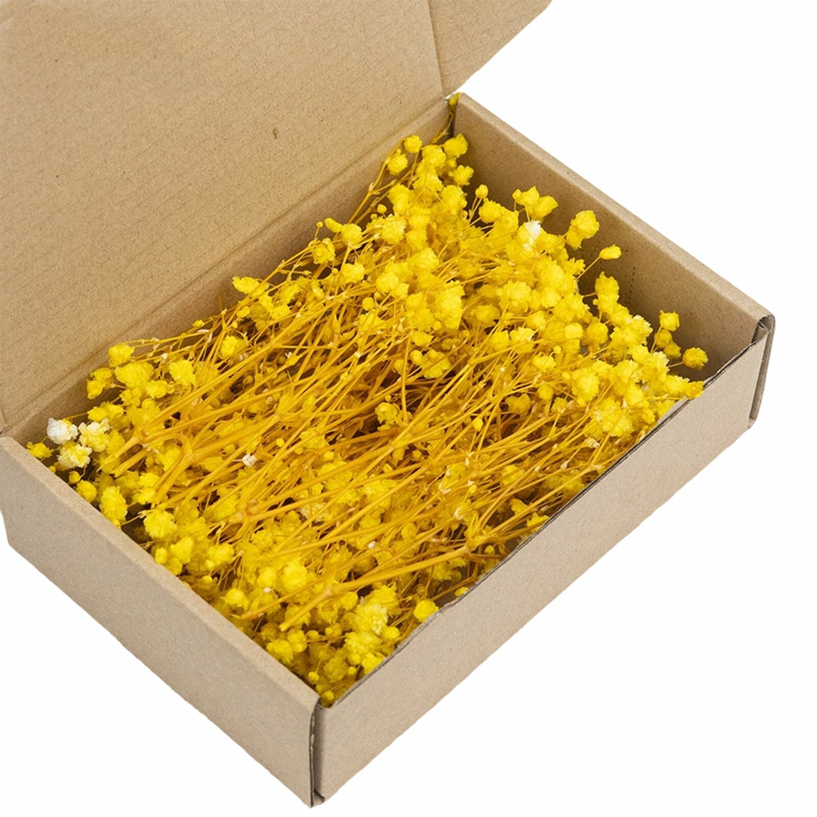 Засушенные стебли гипсофилы для ваз и декоративных композиций