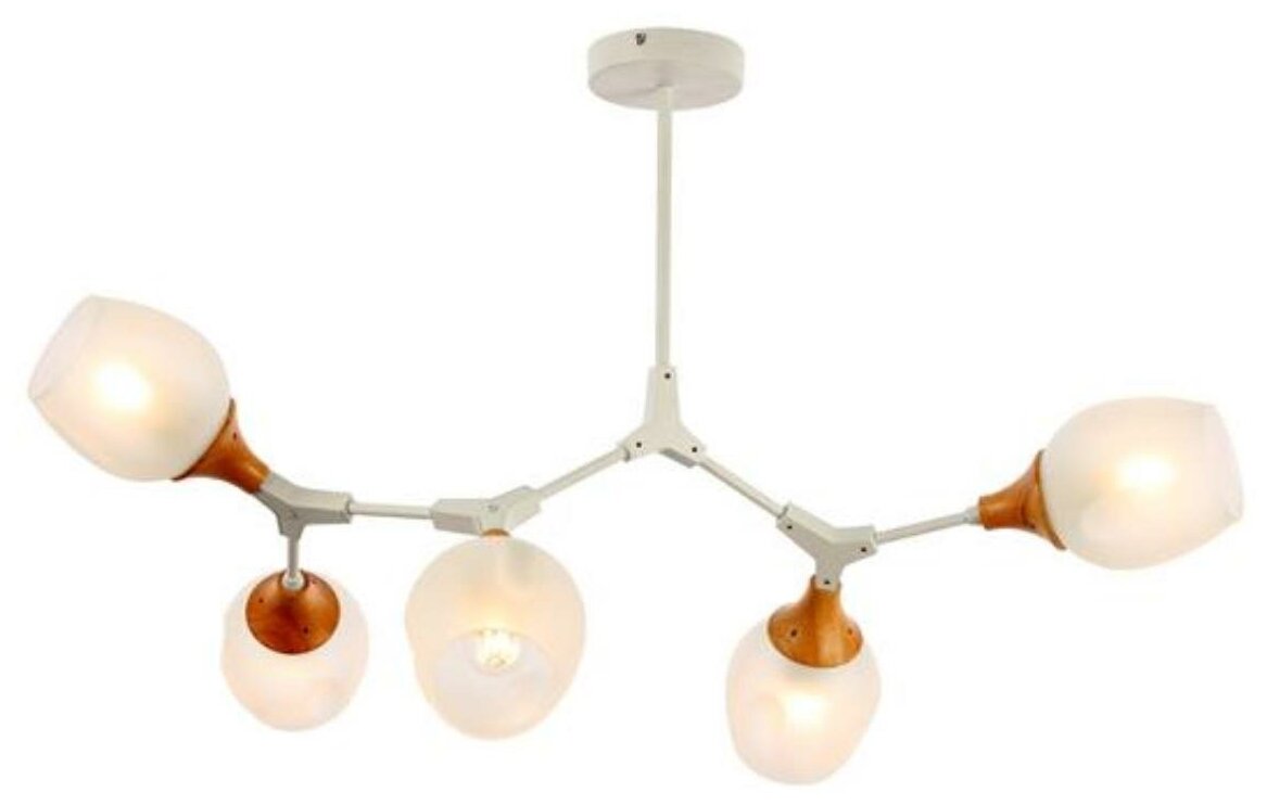Светильник потолочный Evoluce Ciotolla, SLE113502-05, 300W, E27