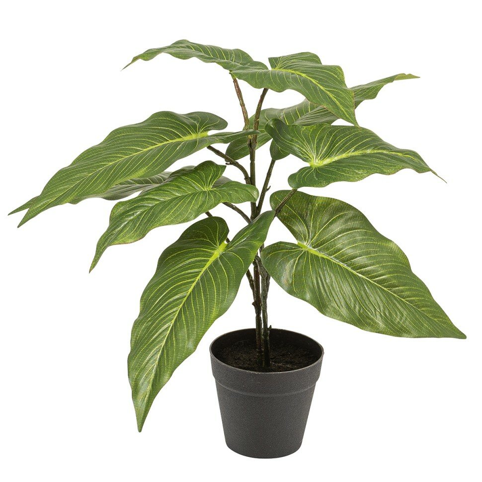 Fiebiger Floristik 107719-800 Цветок декоративный в кашпо "Антуриум", 41 см