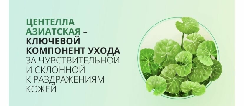 Атоми Центелла Набор — фото 1