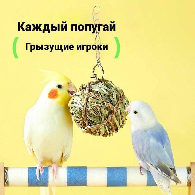 Игрушка для животных — фото 1