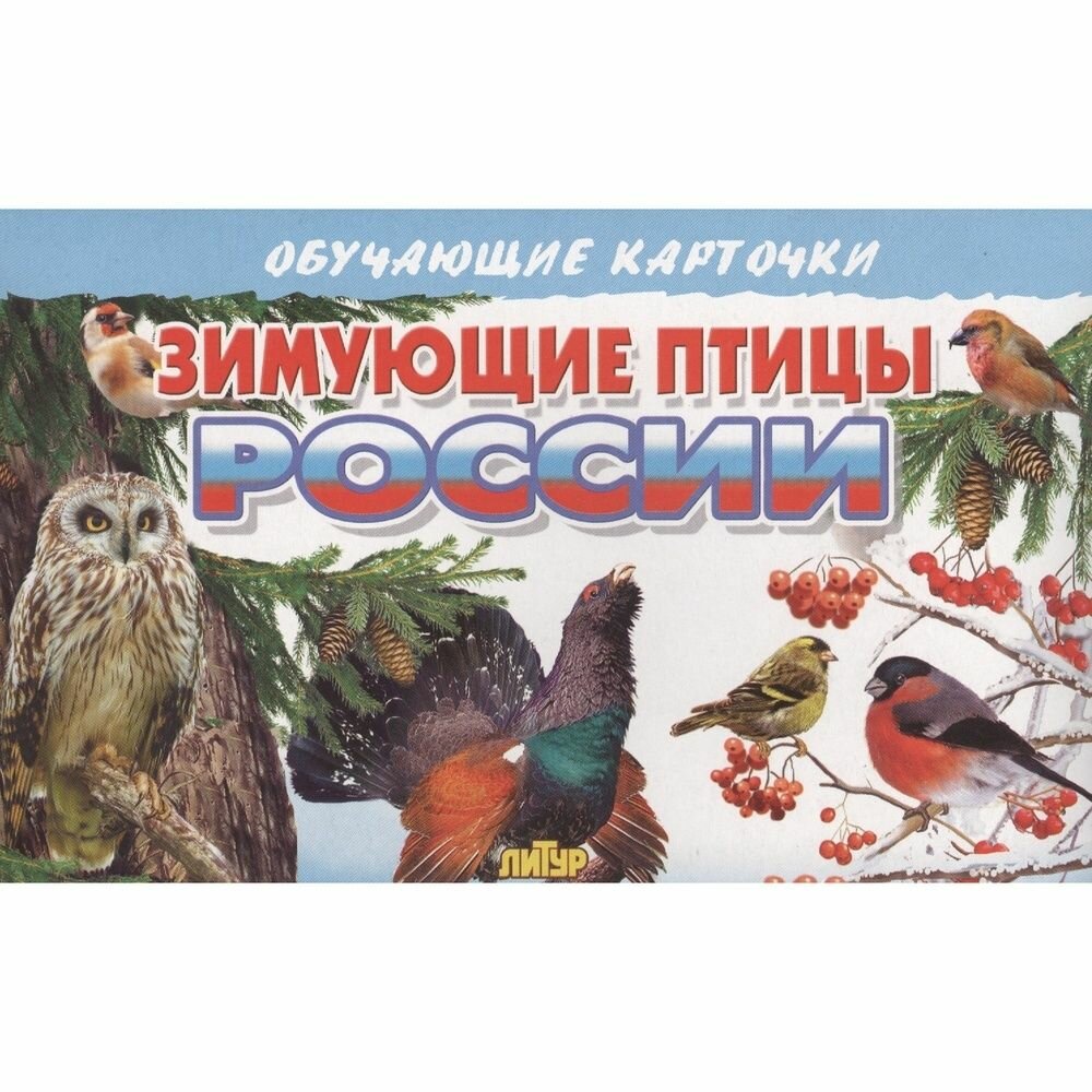 Обучающие карточки Литур Зимующие птицы России. В европакете