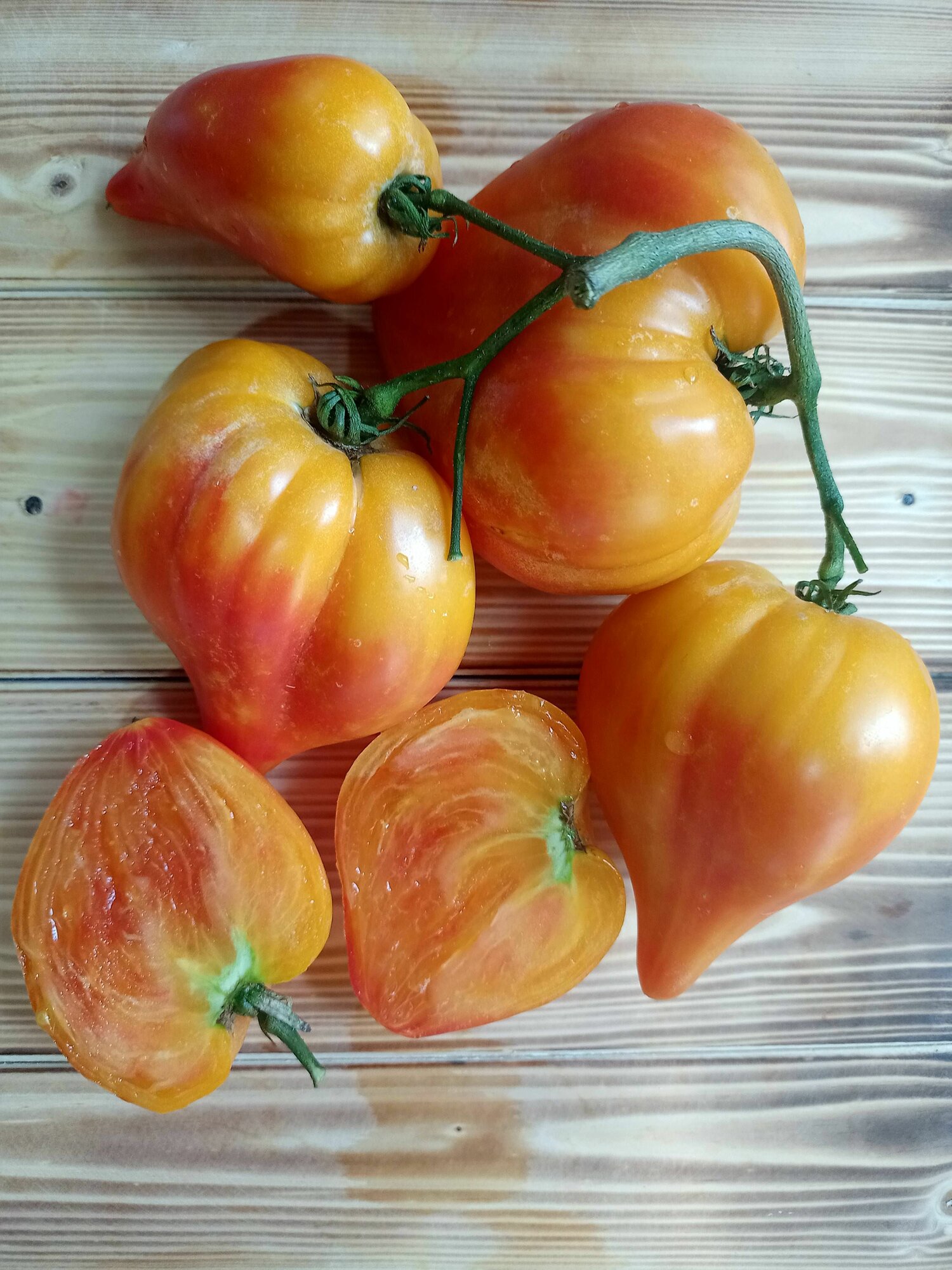 "Ананасное бычье сердце" семена томата 10 шт. Коллекционный сорт.