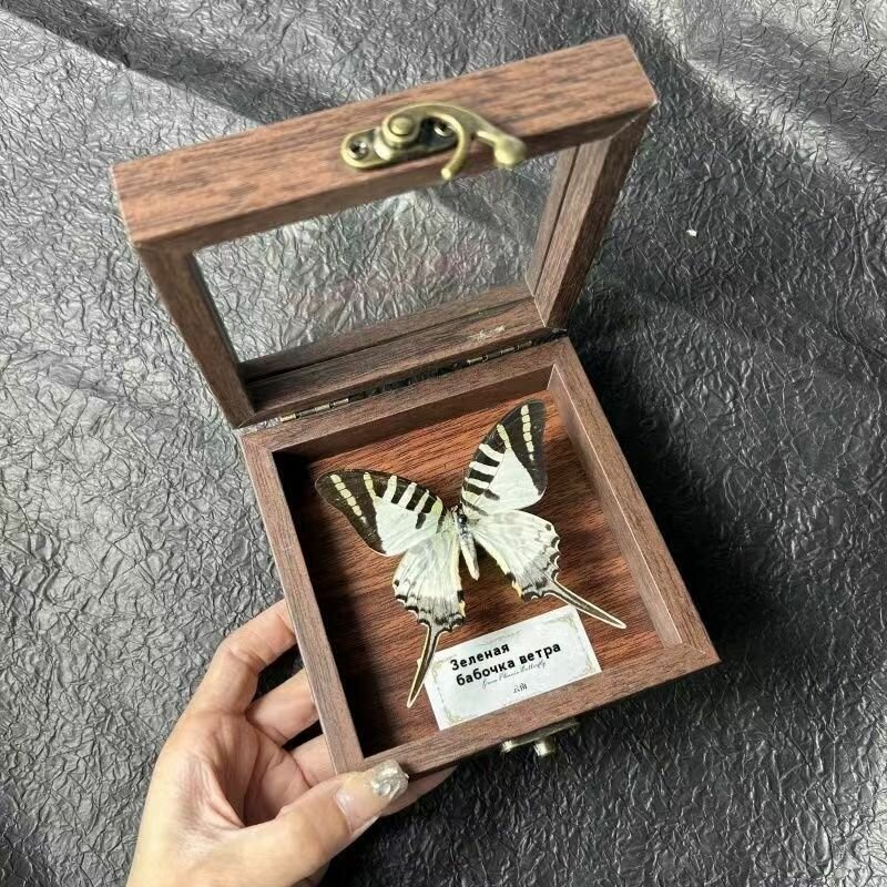 GEALFIS настоящие бабочки в рамке образцы насекомых 3D энтомологическая коллекция декор для дома и офиса