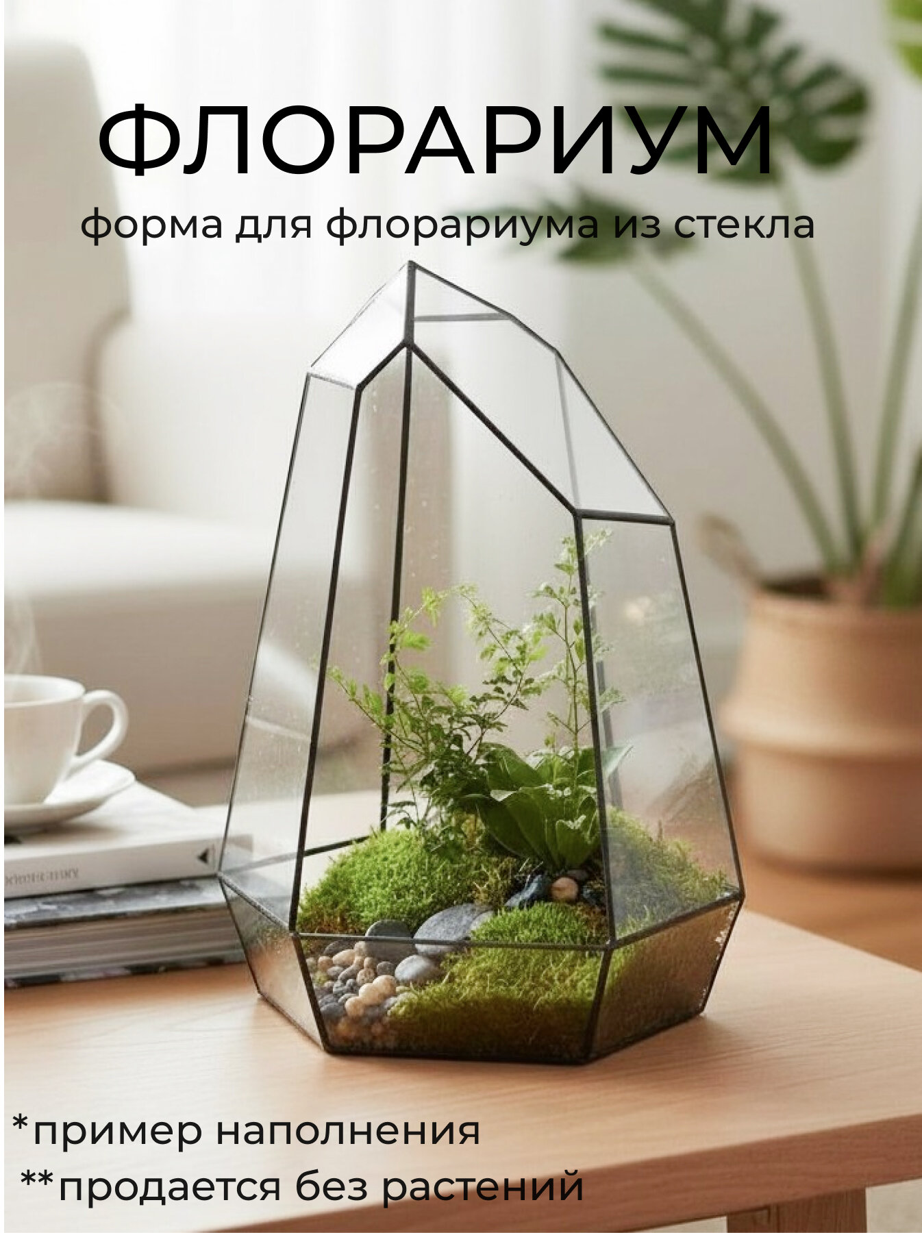 Флорариум из стекла Орхидея Стар