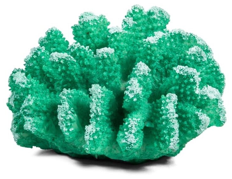 Искусственный коралл Laguna Поциллопора зелёный