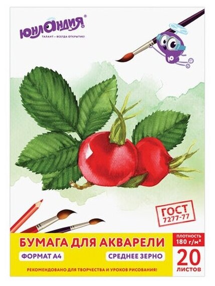 Папка для акварели Юнландия А4, 20 л, 180 г/м2, , 210х297 мм, "Юнландик на даче", 111074