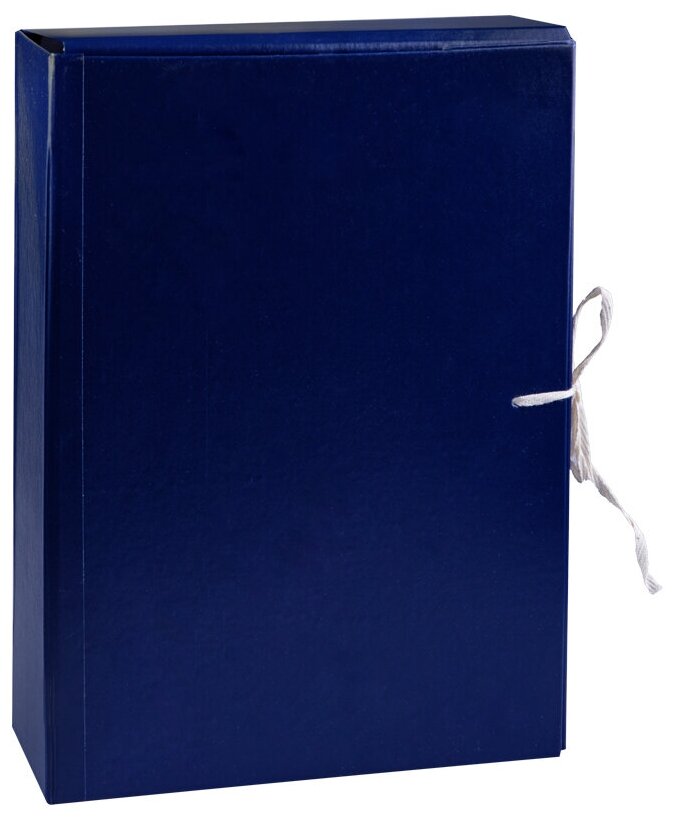 Папка архивная с жесткими клапанами покрытие бумвинил с 4 завязками ширина корешка 80 мм ассорти 1 шт