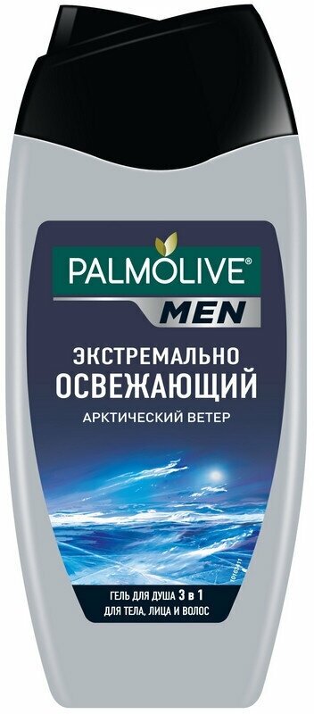 Гель для душа Palmolive MEN Арктический ветер 250 мл, 559705