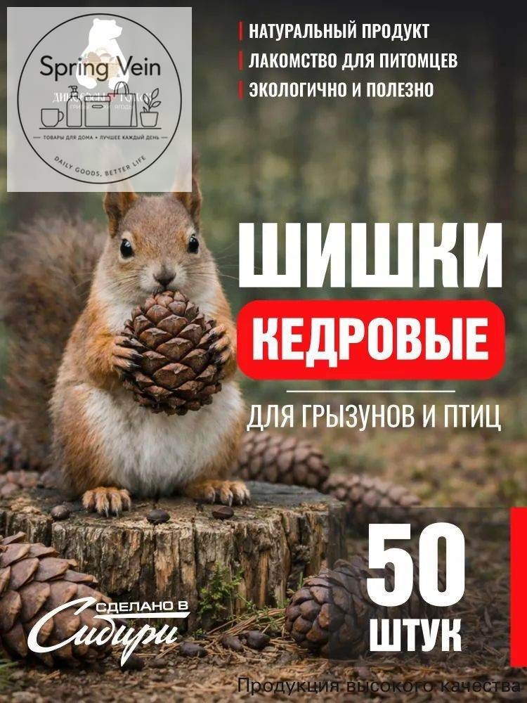 Кедровые шишки для грызунов и птиц 50 штук