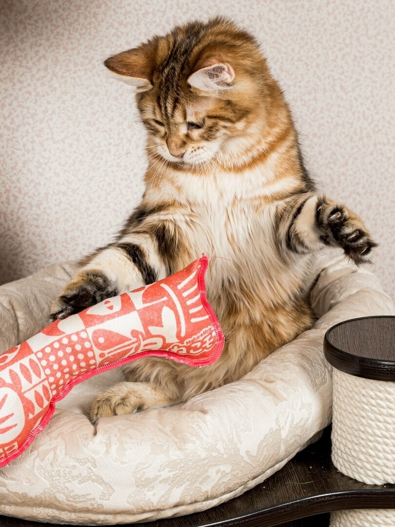 Игрушка для кошек и котят Japan Premium Pet дразнилка в виде игрушки "Хрустящая рыбка" с мататаби