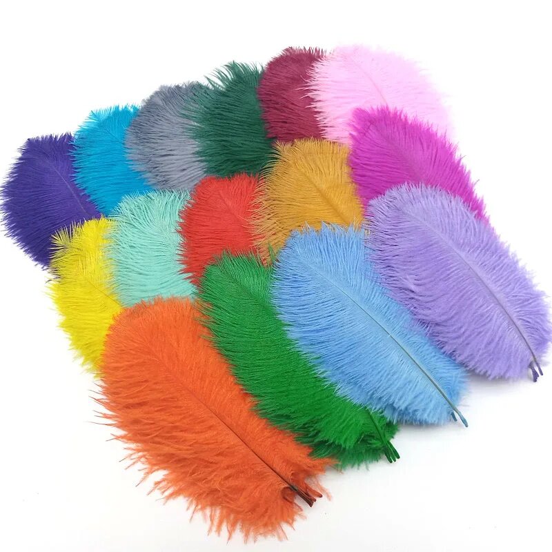 10 шт. Шлейфы из страусиных перьев, 15.20 см, Цвет: Color mixing