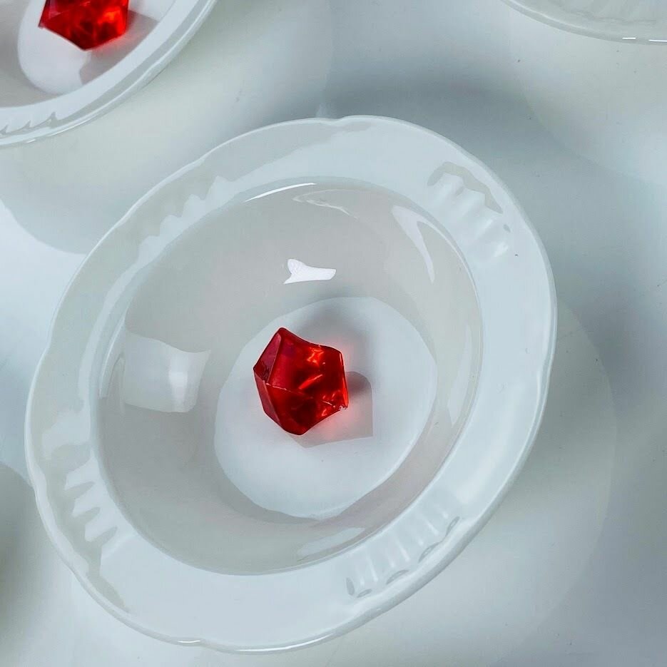 Набор из 6 розеток 10см