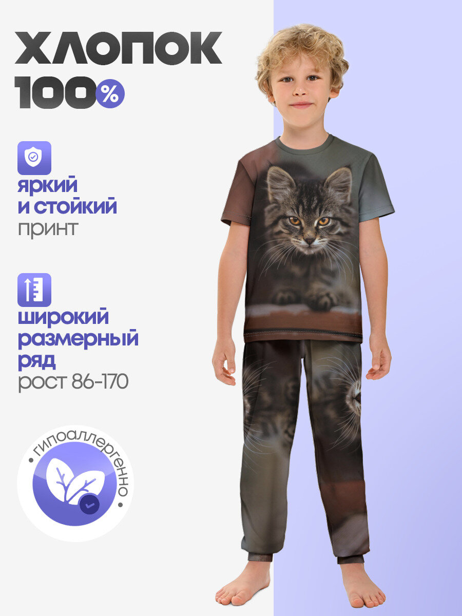 Пижама Коты и кошки