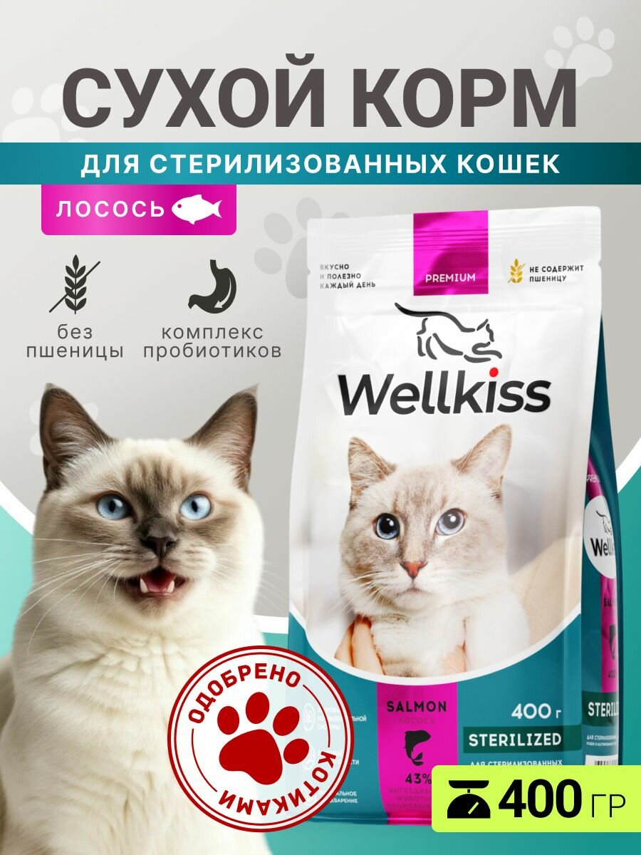 Wellkiss Sterilized Сухой корм для стерилизованных кошек, с лососем, 400 гр.