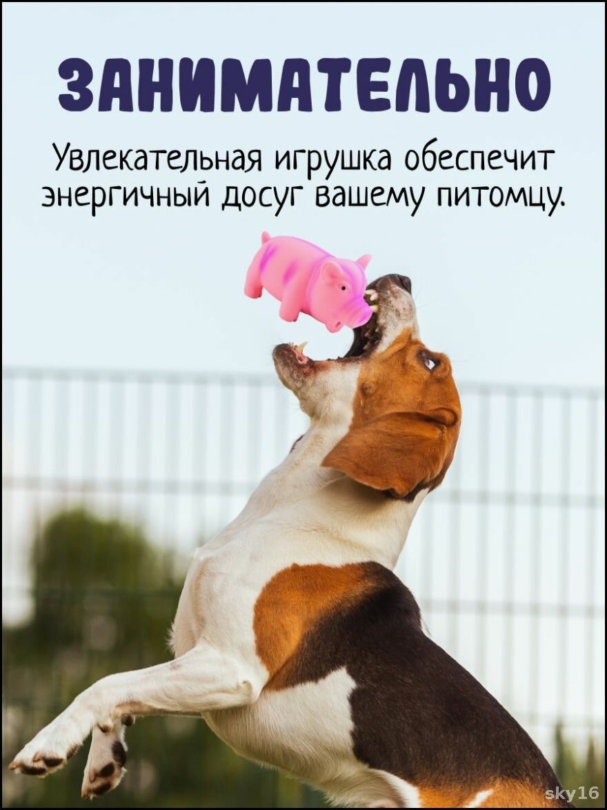 Игрушка для животных — фото 1
