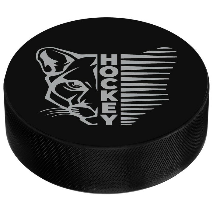 Шайба хоккейная взрослая 9816489