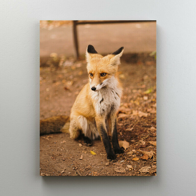 Интерьерная картина на холсте "Рыжий лисенок", размер 22x30 см