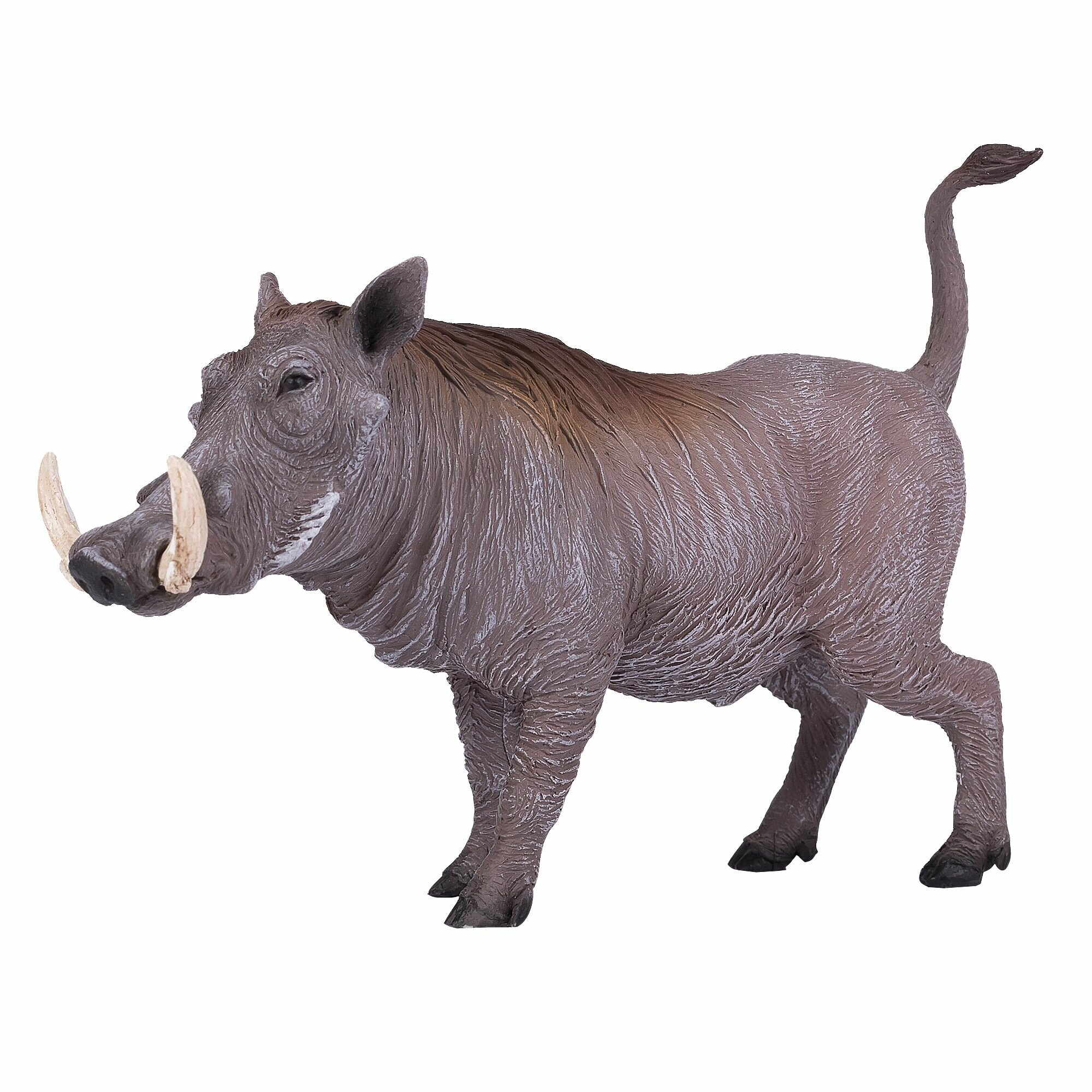 Фигурка-игрушка KONIK WILDLIFE Бородавочник AMW2009, коллекционная фигурка — фото 1