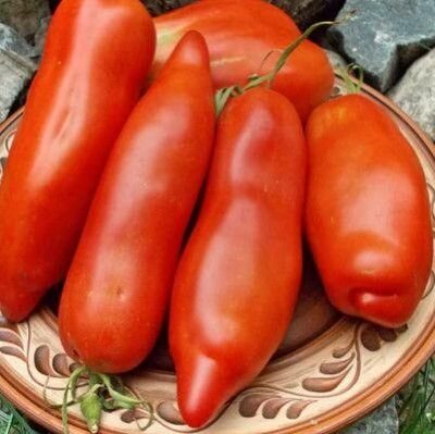 Коллекционные семена томата Дядя Стёпа